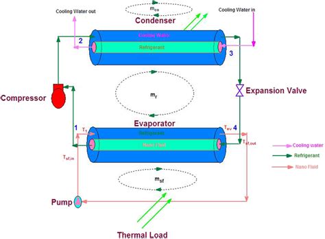 Schematic Structure Of Proposed Model Adapted From Mishra 2014 Download Scientific Diagram