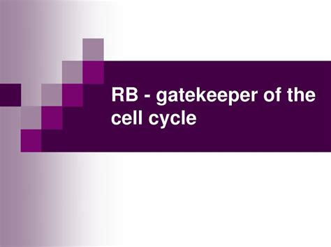 Ppt Rb And E2fs Linking Trx With Cell Cycle Powerpoint Presentation