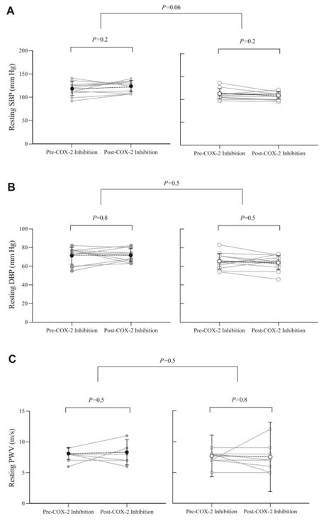 The Effect Of Biological Sex On Arterial Stiffness And Renin
