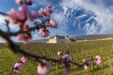 Clos De Vougeot Castle Cote De Nuits Burgundy France Stock Image