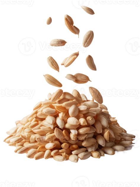 Falling Sesame Seeds 47731248 Png