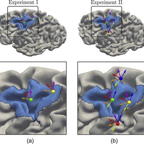 Schematic Representation Of The Experimental Procedure Of The TMS Download Scientific Diagram