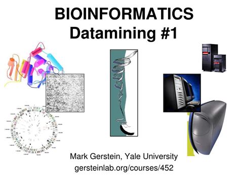 PPT BIOINFORMATICS Datamining PowerPoint Presentation Free Download ID
