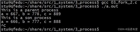 Fork函数与vfork函数vfork Fork Csdn博客