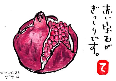 赤い宝石がぎっしりですザクロ 絵手紙 交流ひろば てがみ倶楽部
