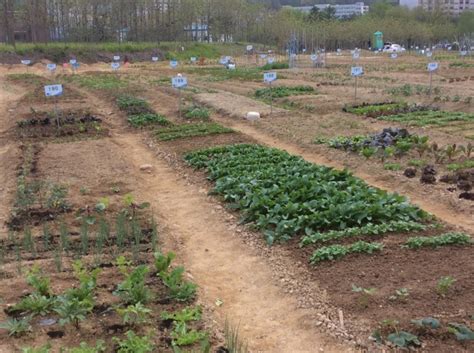 수도권 ‘텃밭 경매로 싸게 장만하기 네이버 블로그