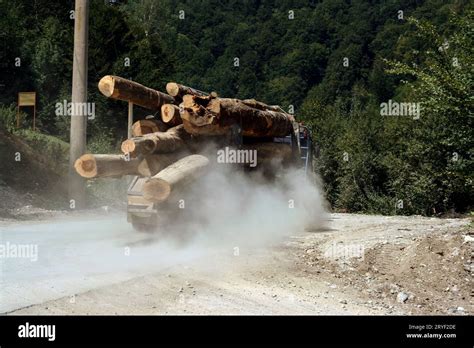 Truck Transporting Cut Tree Trunks Stock Photo Alamy
