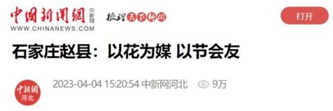 【央媒聚焦】石家庄赵县：以花为媒 以节会友澎湃号·政务澎湃新闻 The Paper
