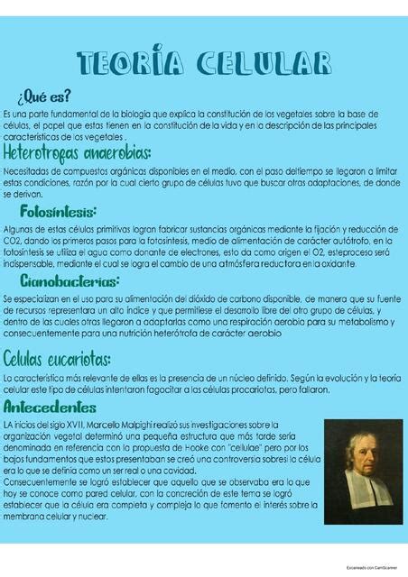 TeorÍa Celular Ck Udocz