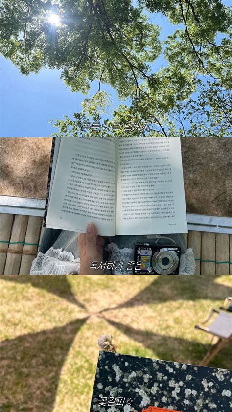 ˋˏ 주재커플 힐링여행5년차 ˎˊ Jujaecouple Trip • Instagram Photos And Videos