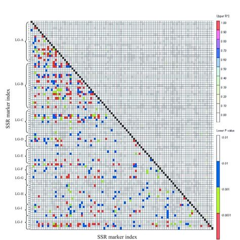 Ld Plot Generated By 98 Ssr Markers Each Cell Represents The