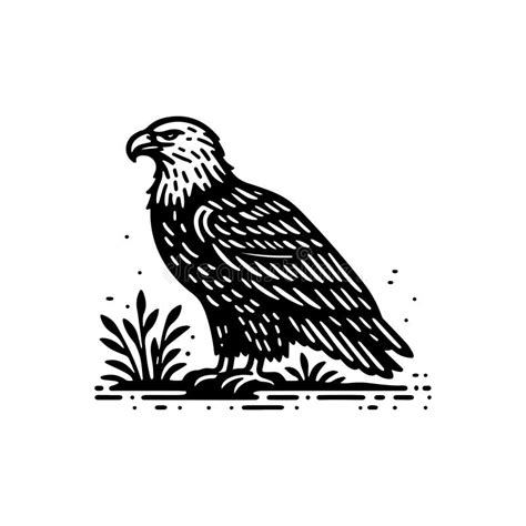 Simple Bald Eagle Side View In Vintage Rustic Style Illustration Stock Vector Illustration Of