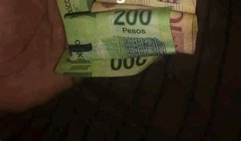 Laura Marlen Blanco Matus Posted On Linkedin