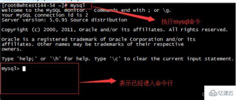 Mysql安装常见报错怎么处理 Mysql教程 Php中文网