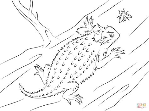 Free Horned Lizard Cliparts Download Free Horned Lizard Cliparts Png