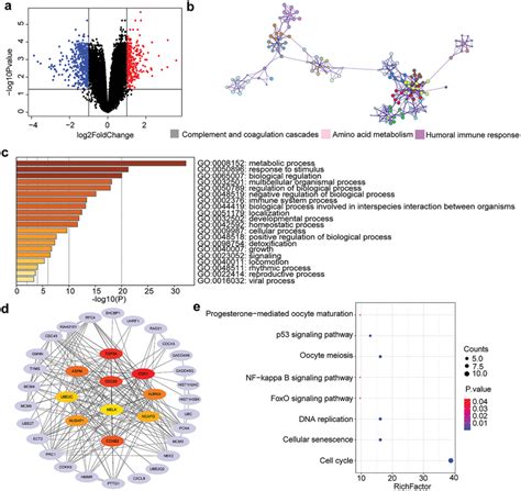 Analysis Of The Gene Expression Profile Dataset Related To