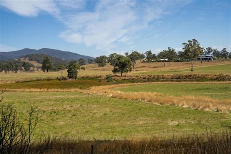 Premium Photo Grass Growing In A Field On A Cattle Ranch In Spring