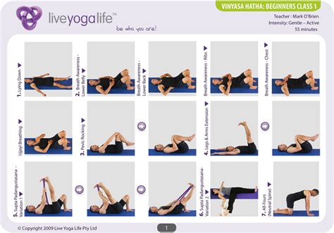 Vinyasa And Hatha Yoga A Guide To The Two Most Popular Yoga Styles
