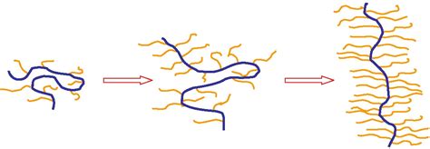 What Are The Differences Between Polymer Graft Modification And Other