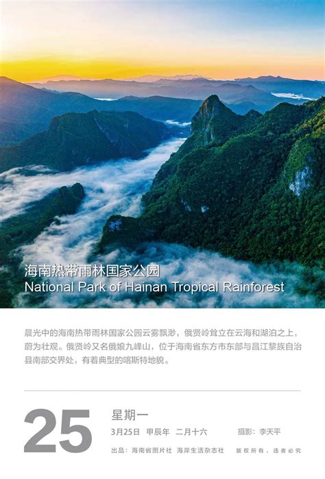 早安自贸港｜海南新增一所高校，位置在→澎湃号·政务澎湃新闻 The Paper