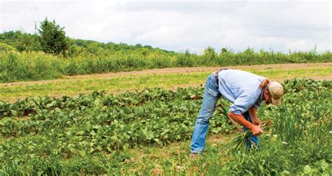 Resources Sofsa Syracuse Onondaga Food Systems Alliance