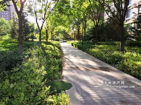 涿州鹏渤印象城·牛津花园小区照片鹏渤印象城·牛津花园实景图鹏渤印象城·牛津花园 涿州房产网