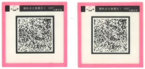 A Pair Of Synoptophore Slides With Random Dots Stereopsis Download