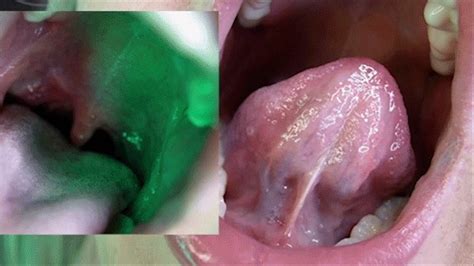 Stomach Growl Predator Hd Mistress Bijoux Clips4sale