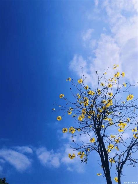 未来几天广东晴燥继续控场，早晚寒凉
