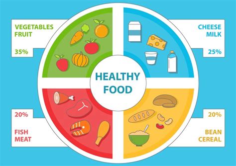Four Main Food Groups Royalty Free Vector Image
