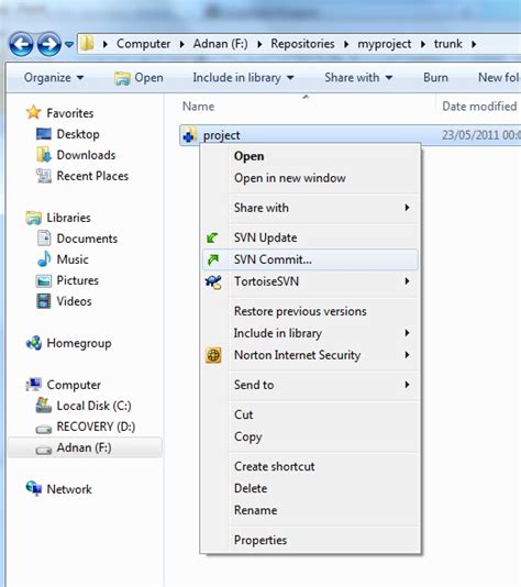 Installing Trac With VisualSVN Server