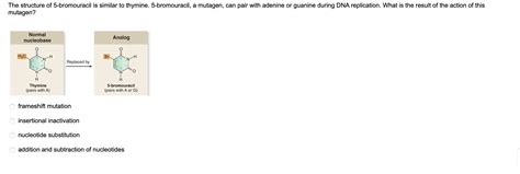 Solved Frameshift Mutation Insertional Inactivation