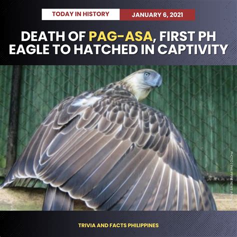 𝗥𝗘𝗠𝗘𝗠𝗕𝗘𝗥𝗜𝗡𝗚 𝗣𝗔𝗚 𝗔𝗦𝗔 Noong Trivia And Facts Philippines Facebook