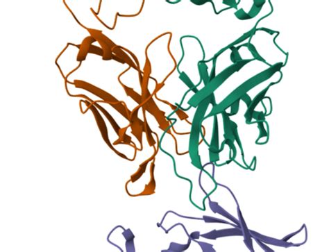 Fda Approves Regeneron And Sanofis Dupilumab For Treating Esophagus
