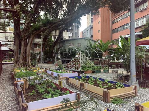 觀傳媒 產經 共創綠意未來台北市政府財政局推動市有土地綠美化計畫