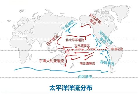 高考地理中的洋流分布地理高考专栏初高中地理网