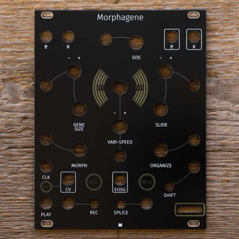 Morphagene Black Panel Mork Modules