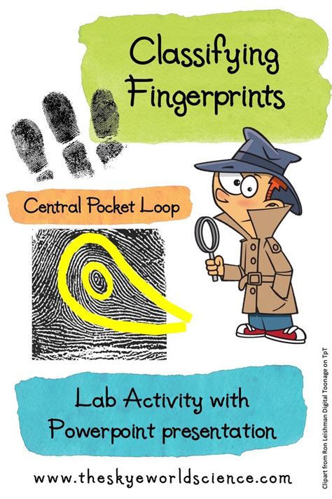 Lab Activity Classifying Fingerprints With Powerpoint Instructions