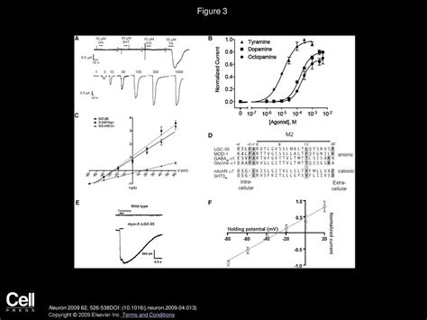 Volume Issue Pages May Ppt Download