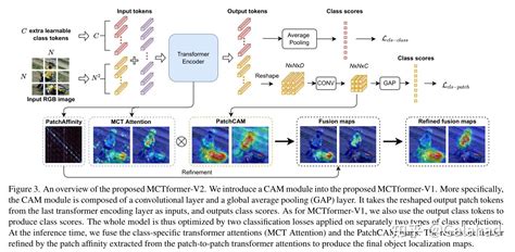 Cvpr Mctformer Vision Transformer Class Token