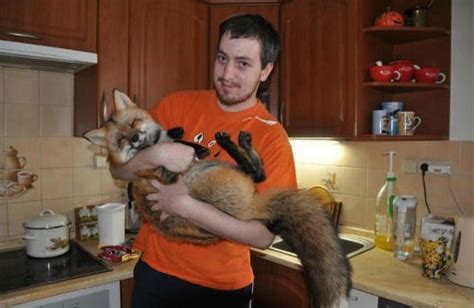 Love 11 Reasons Loving A Domesticated Fox Is A Fantastic Idea Yourtango