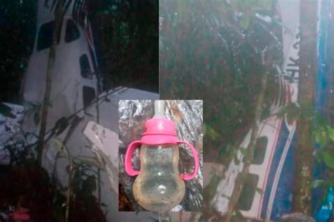 Hallan Con Vida A Los Cuatro Niños Desaparecidos Tras Accidente De Avioneta