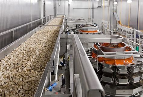 Poultry Food Processing Plant Design And Construction Stellar