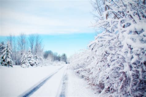 Free Images Tree Branch Snow Winter Street Frost Mountain Range