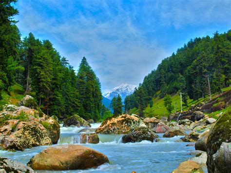 Kashmir Beauty