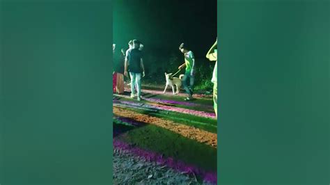 क्या डांस किया कुत्ते ने Dog Dance Adivasi Timli Dance Vk Bhuriya Rahul