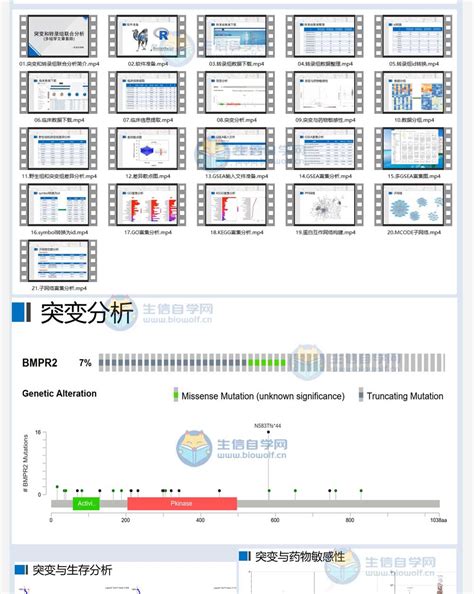 Snp Gdsc Tcga