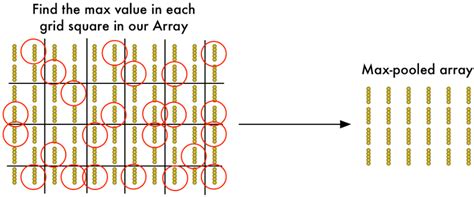 Machine Learning thật thú vị Tìm kiếm ảnh chứa chim với CNN