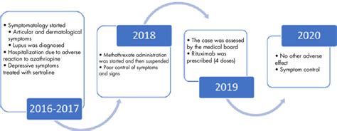 Depicts The Cases Timeline Download Scientific Diagram