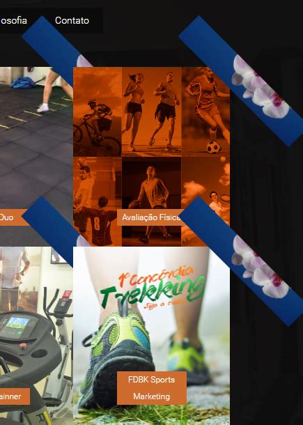 jquery div ou imagem aparece apenas dentro de outra stack overflow